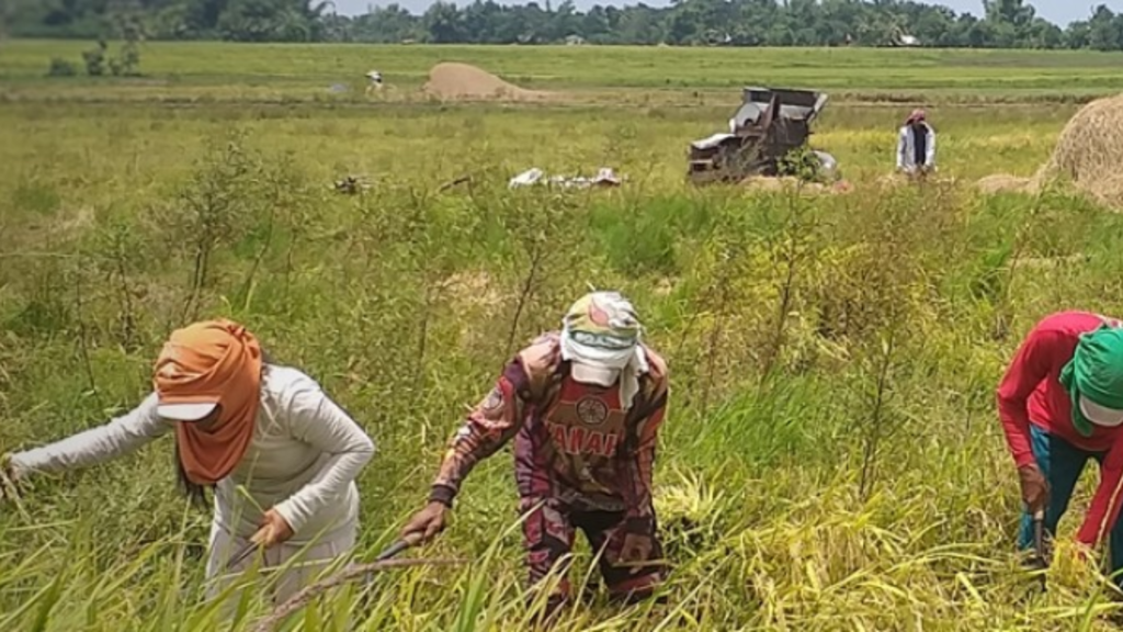 Magtatanim, maghahayop nilumpo ng imports